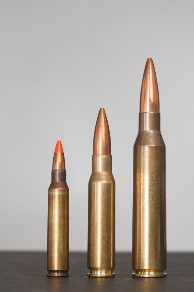 Steyr SSG08-A1 – RangeIsClear Edition – RangeIsClear.com